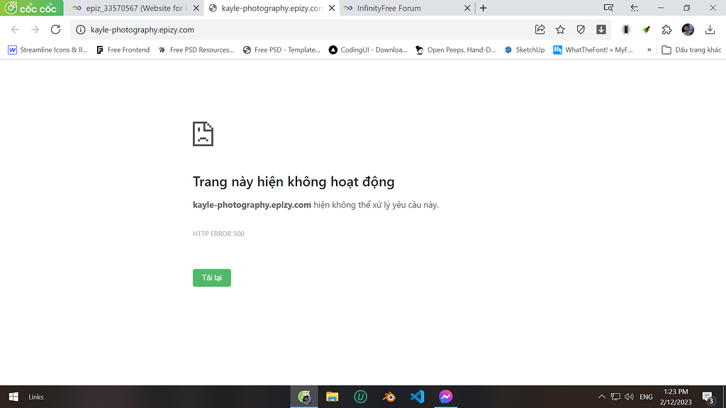 My website isn't working - laravel project - Hosting Support - InfinityFree Forum